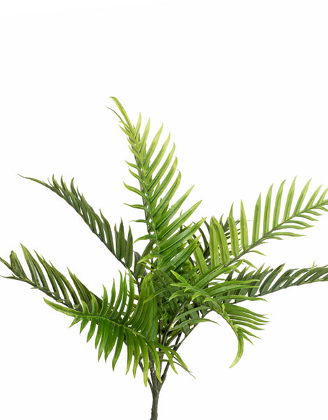 Areca Palm Bush 27" – AshleyNichole Designs